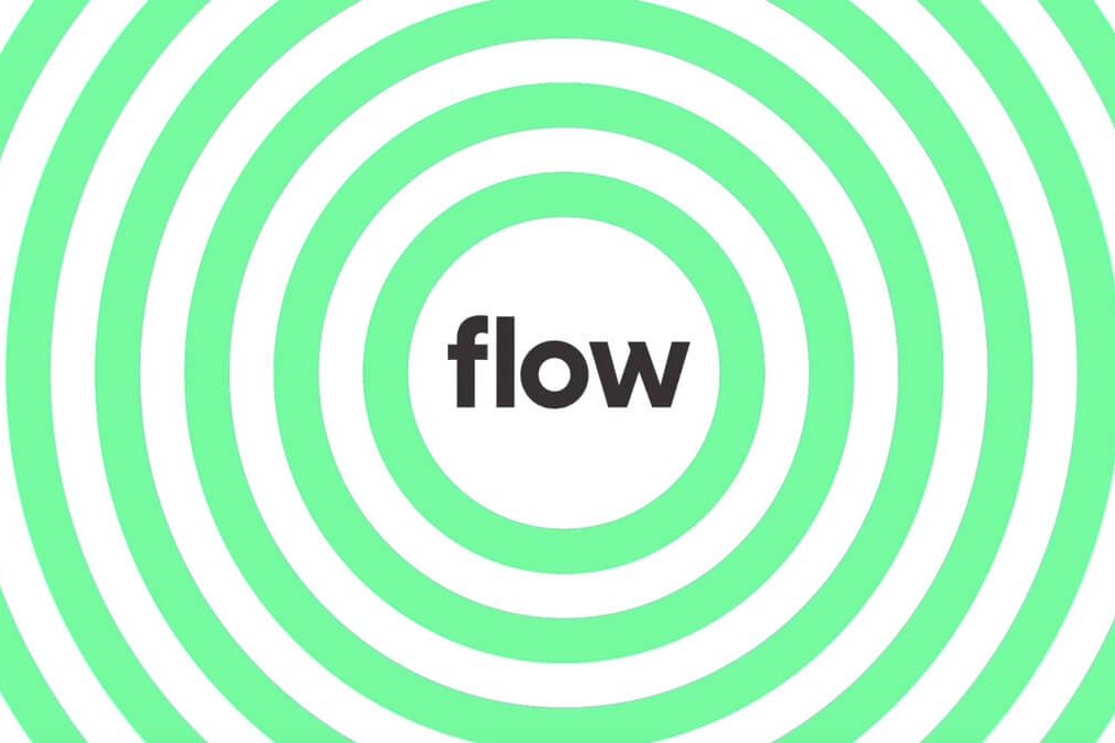 What is Flow - the developer-friendly blockchain? - Coin Rivet